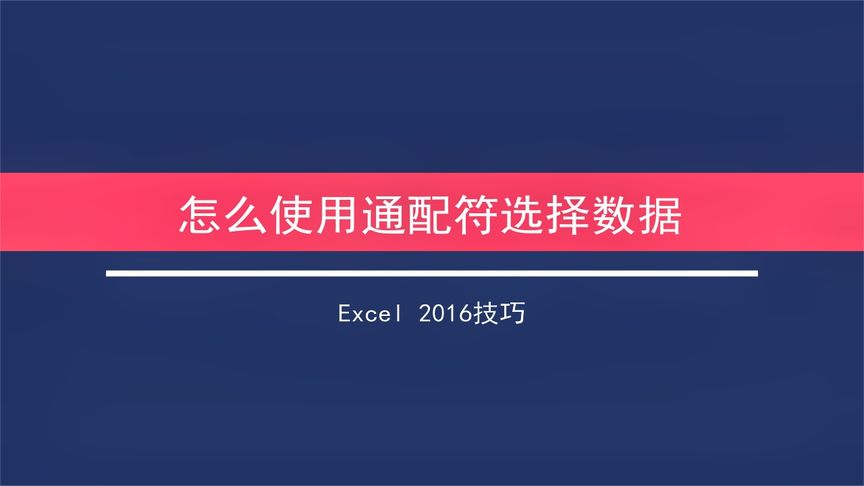 Excel 2016 怎么使用通配符查找数据