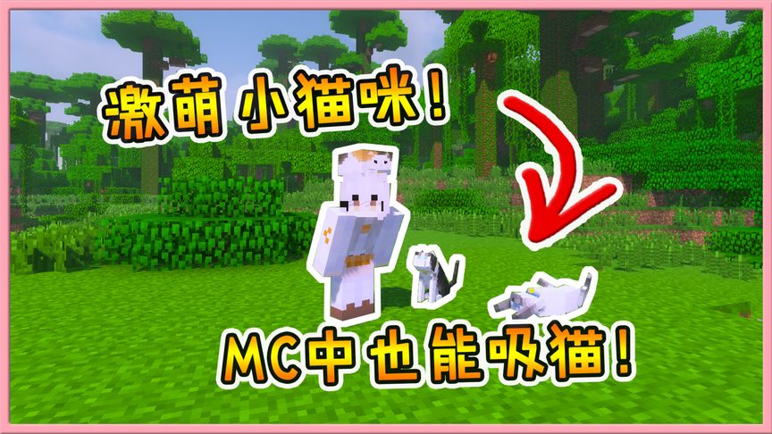 我的世界模组:铲屎官必备激萌小猫咪!教你在MC中也能正确吸猫!