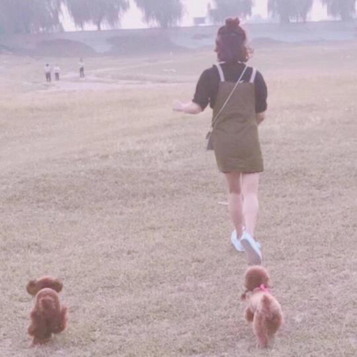 不完美小姐的美梦- 