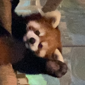 不知道起啥名嘻嘻 