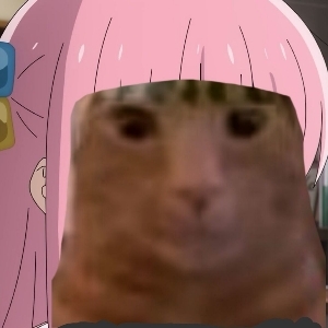 波奇猫FSLB 