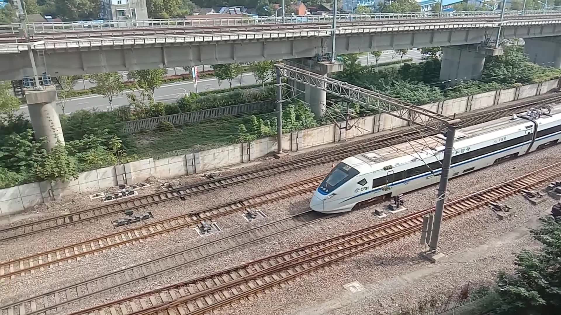 今日白宫上午的crh1e