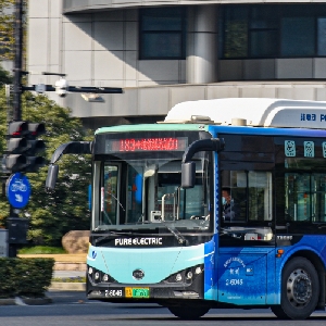 岸の草 