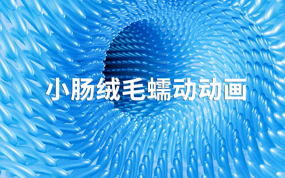 科研绘图小肠绒毛动画渲染部分c4d建模渲染