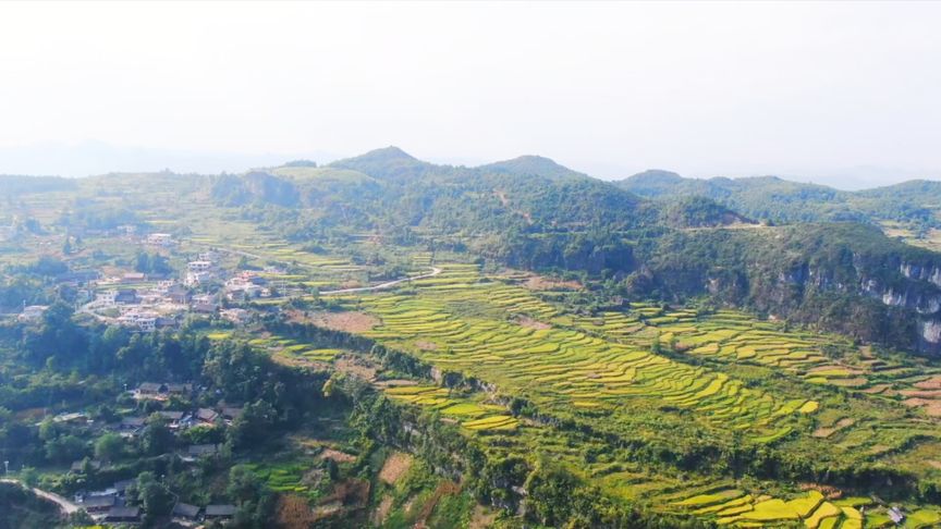秋天不知道去哪里玩,就来这里,看一片黄灿灿的稻田,绿油油山野