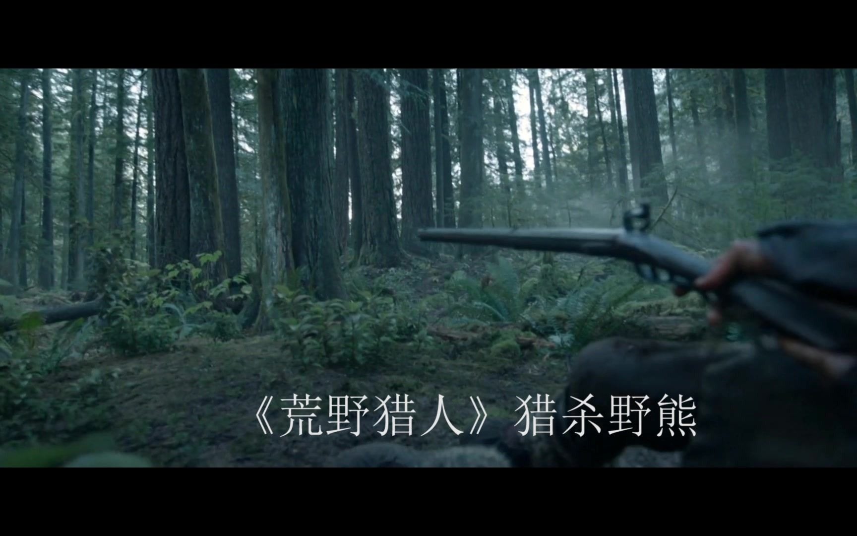 荒野猎人 - 电影 - 高清完整版在线观看 - 西瓜视频_1