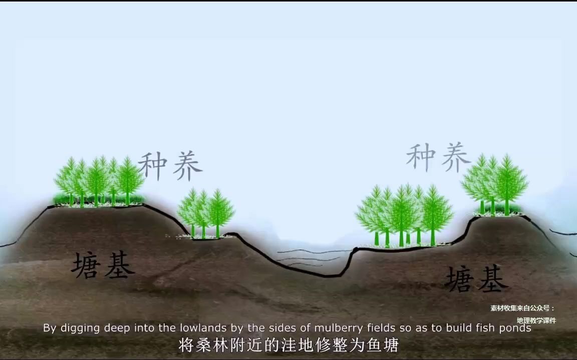 十分钟详讲浙江湖州桑基鱼塘复合生态农业循环系统