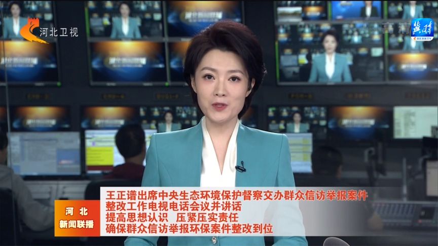 王正谱:确保群众信访举报环保案件整改到位