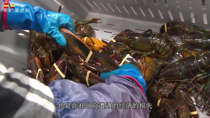 加拿大掌握定价权,大量输出亚麻籽到中国,依靠两款产品“回血”