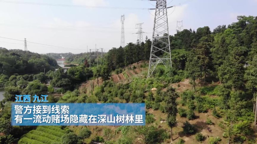 深山老林里暗藏“赌窝” 民警高科技确定位置 成功抓获51名嫌犯