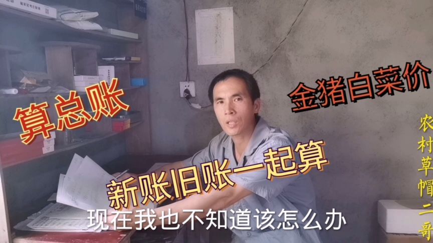 将养猪的成本和利润算出来!按目前的猪价行情老婆都要贴出去