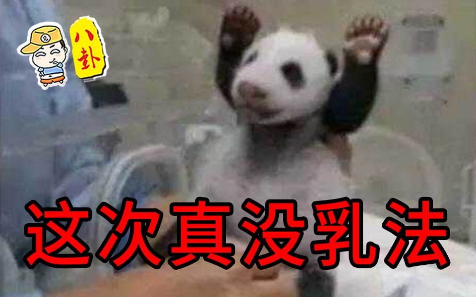【主播真会玩八卦篇】114:法国偷了英国的口罩,毒枭改行玩起了诈骗