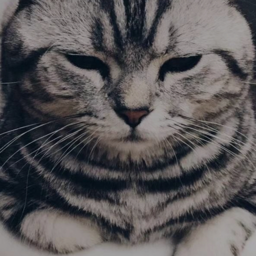 还是你的手哥 