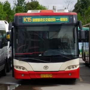 公交爱好者周师 