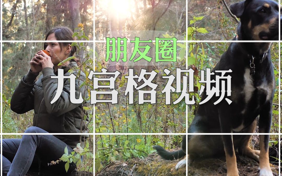 【PR教程】朋友圈高大上的九宫格照片(视频)怎么做?超简单!