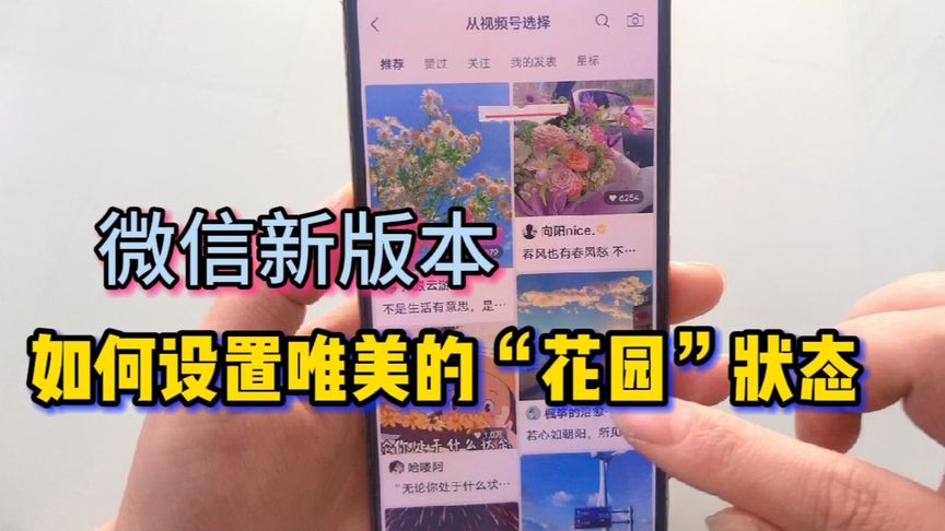 微信新版本上线了,新增设置“花园”状态的玩法,效果非常唯美