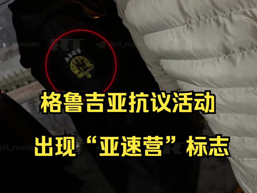 格鲁吉亚抗议活动中乌克兰“亚速营”标志