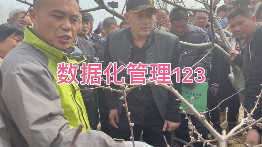 唐老师数据化管理123