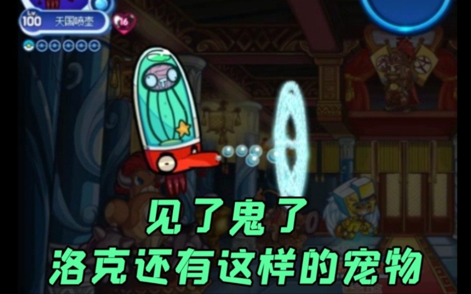 睿智的眼神 不搭的风格 造就了洛克最怪宠物——天国喷壶!高达600...