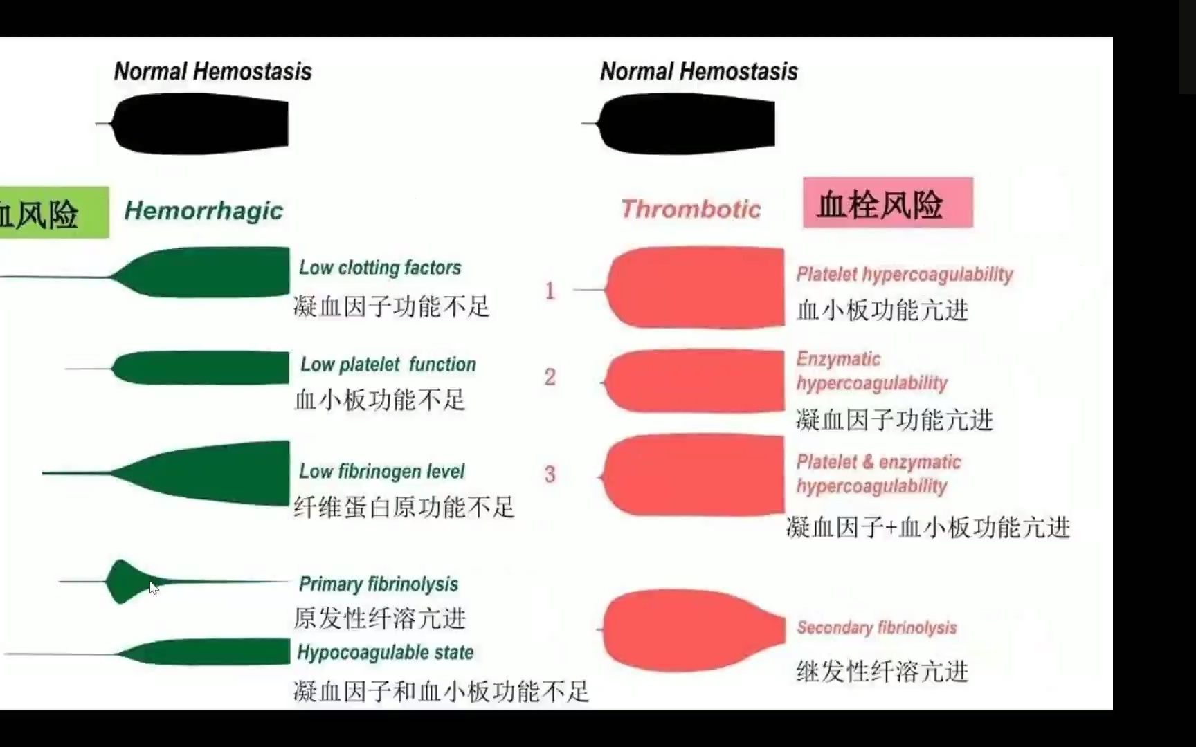 子军讲堂-血栓弹力图3