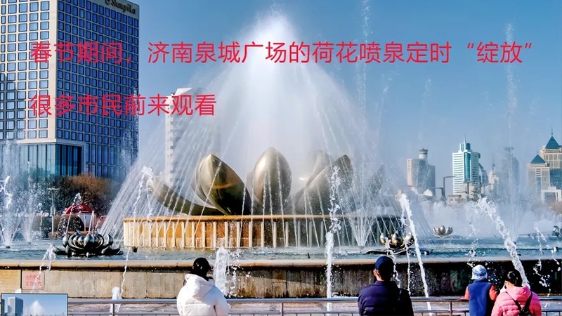 春节期间,济南泉城广场荷花喷泉定时"绽放",很多市民前来观看
