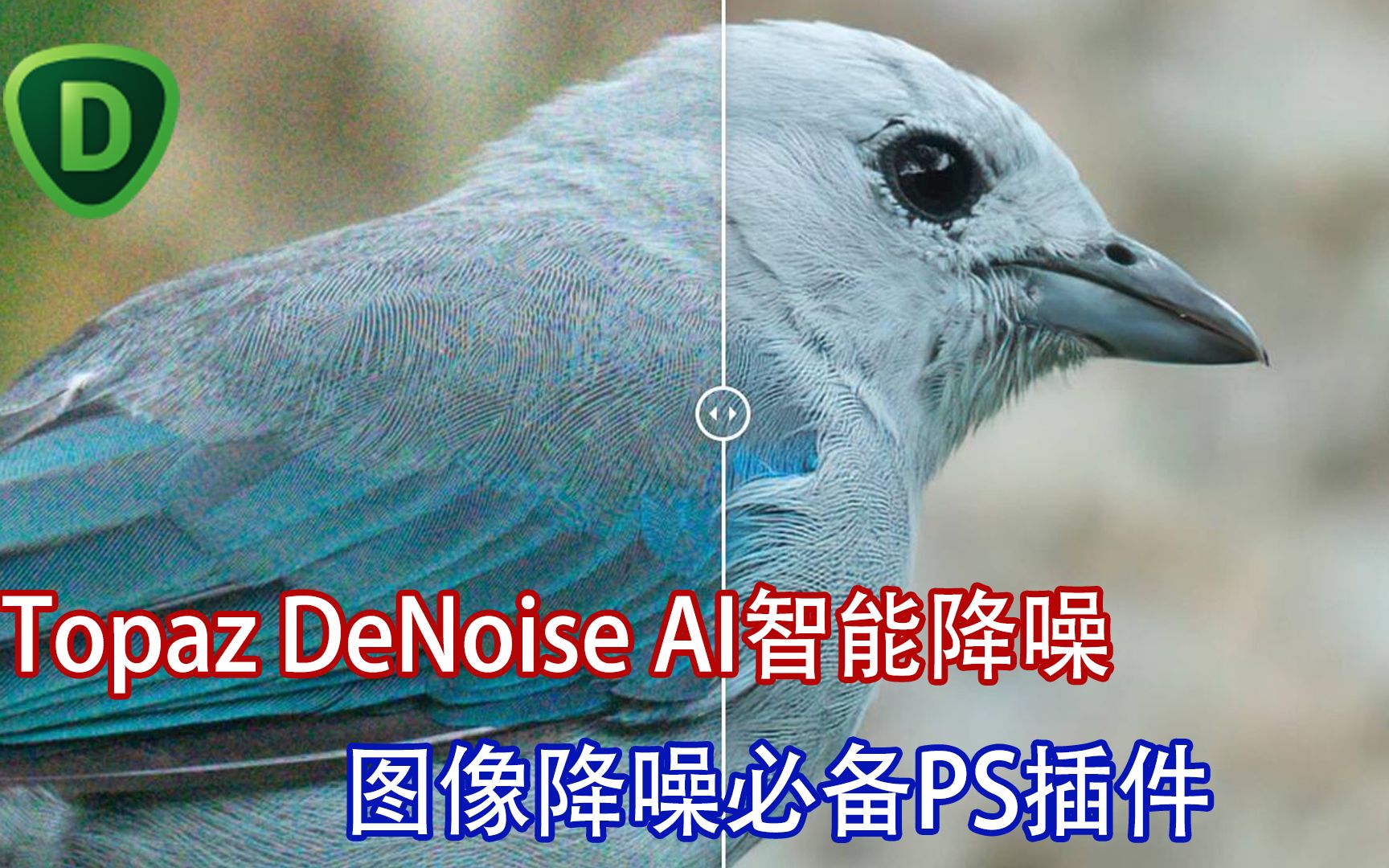 AI智能降噪多神奇? 图片降噪插件Topaz DeNoise AI使用教程详解