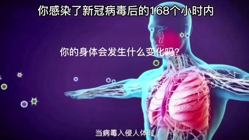 你知道感染了新冠感冒之后的168个小时身体内会发生什么变化吗?