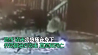 2只狗被狼咬死,男子一怒徒手杀狼!监控曝光