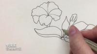 简笔画——教你画花卉之紫茉莉