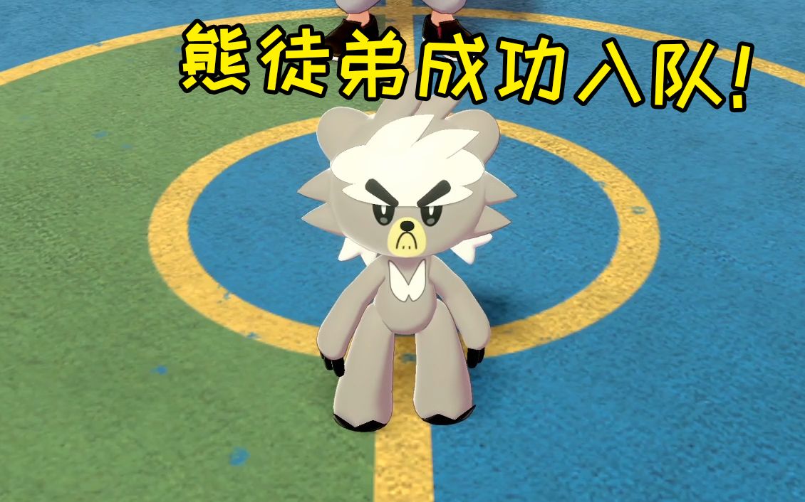 宝可梦铠之孤岛训练结束,熊徒弟成功入伙。