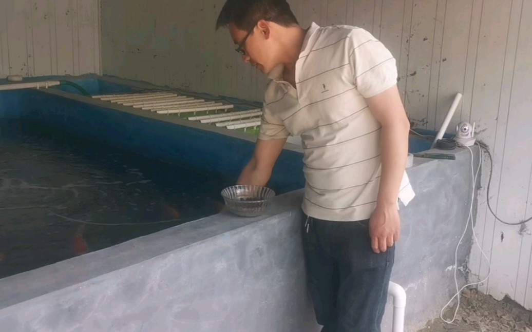 分享一下带拔管仓的鱼池过滤系统,需要的朋友可以了解一下