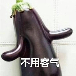 二珺 