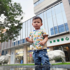 影子读教资 