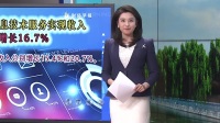 北京您早 2019 一季度中国信息技术服务实现收入同比增长16.7%
