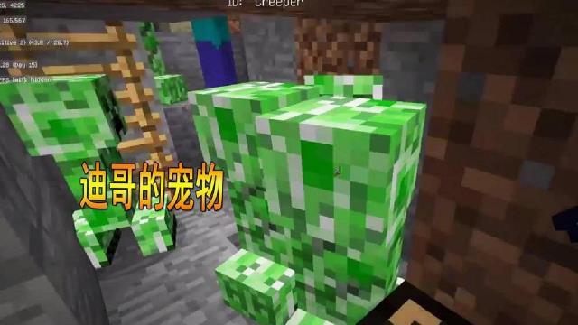 我的世界联机168:小帕去参观迪哥家,发现迪哥养一堆小小怕