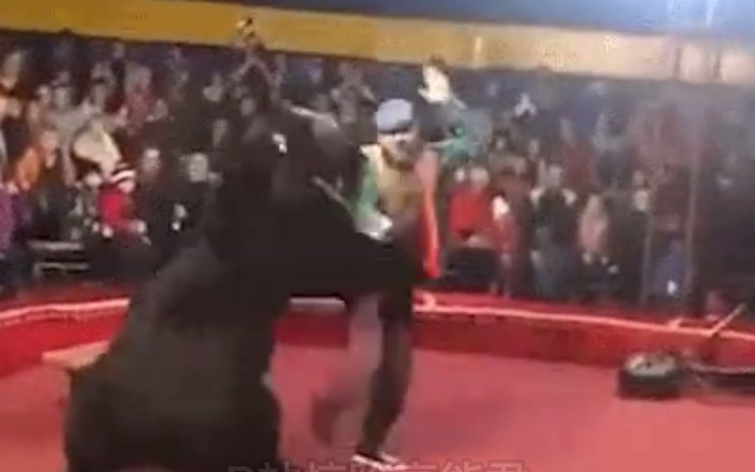 三名初三学生共骑一台车,迎面撞上大货车,两死1伤.《死神来了第85期》