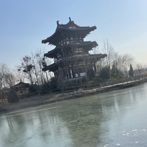 每天新鲜事儿分享 