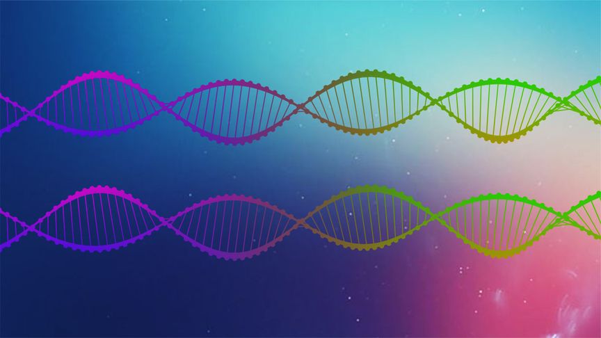 AE粒子plexus教程:点线面线条卷曲效果,简单过程全分享