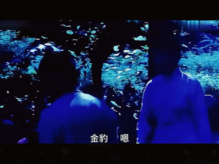 因为一个片段看了整部剧