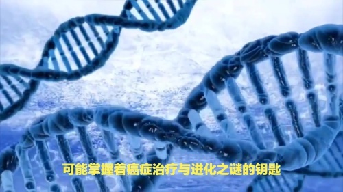 DNA双螺旋骗了我们60年?科学家发现猿类DNA暗藏神秘结构