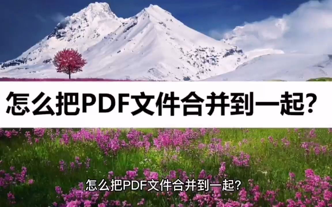 怎么把PDF文件合并到一起?