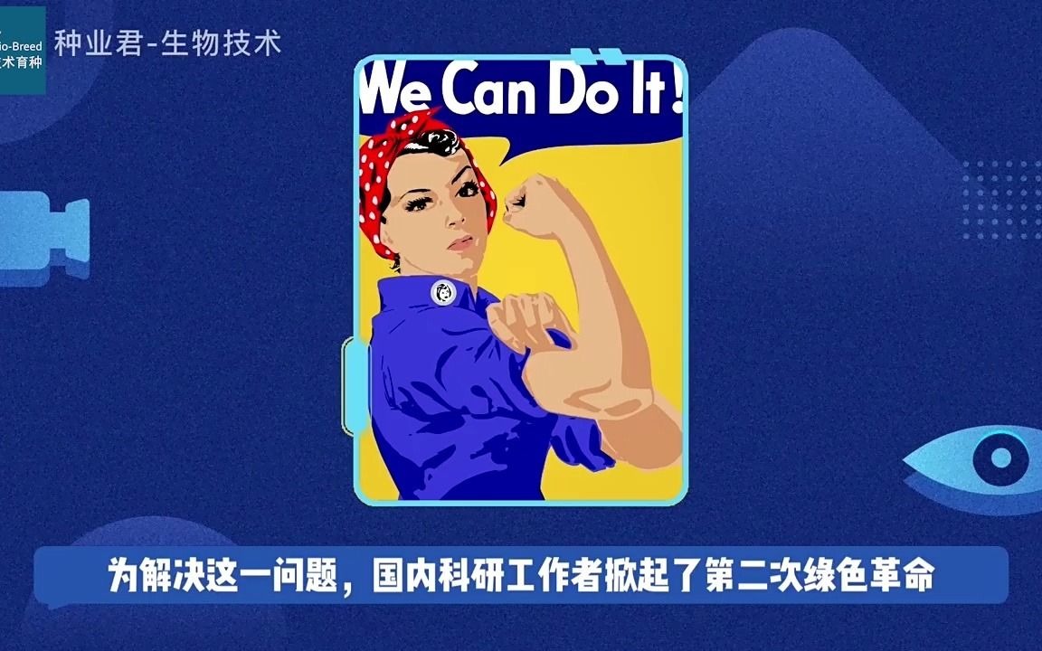 农业生物技术|新一轮绿色革命来袭!值得关注的氮高效利用关键性基因