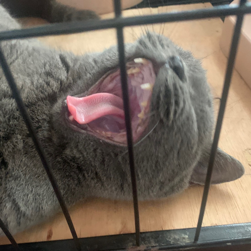 你好丶昨日时光 