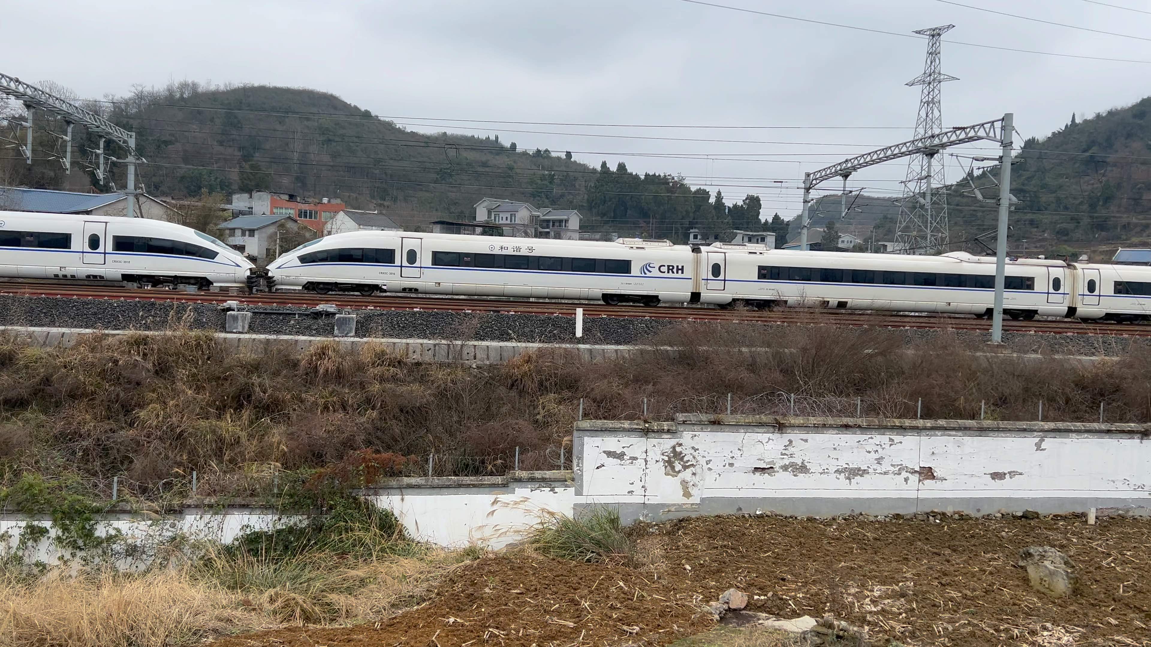 ...3016+CRH3C3018遵义南站进站(拍摄设备与时间:iPhone14,昨天下午)
