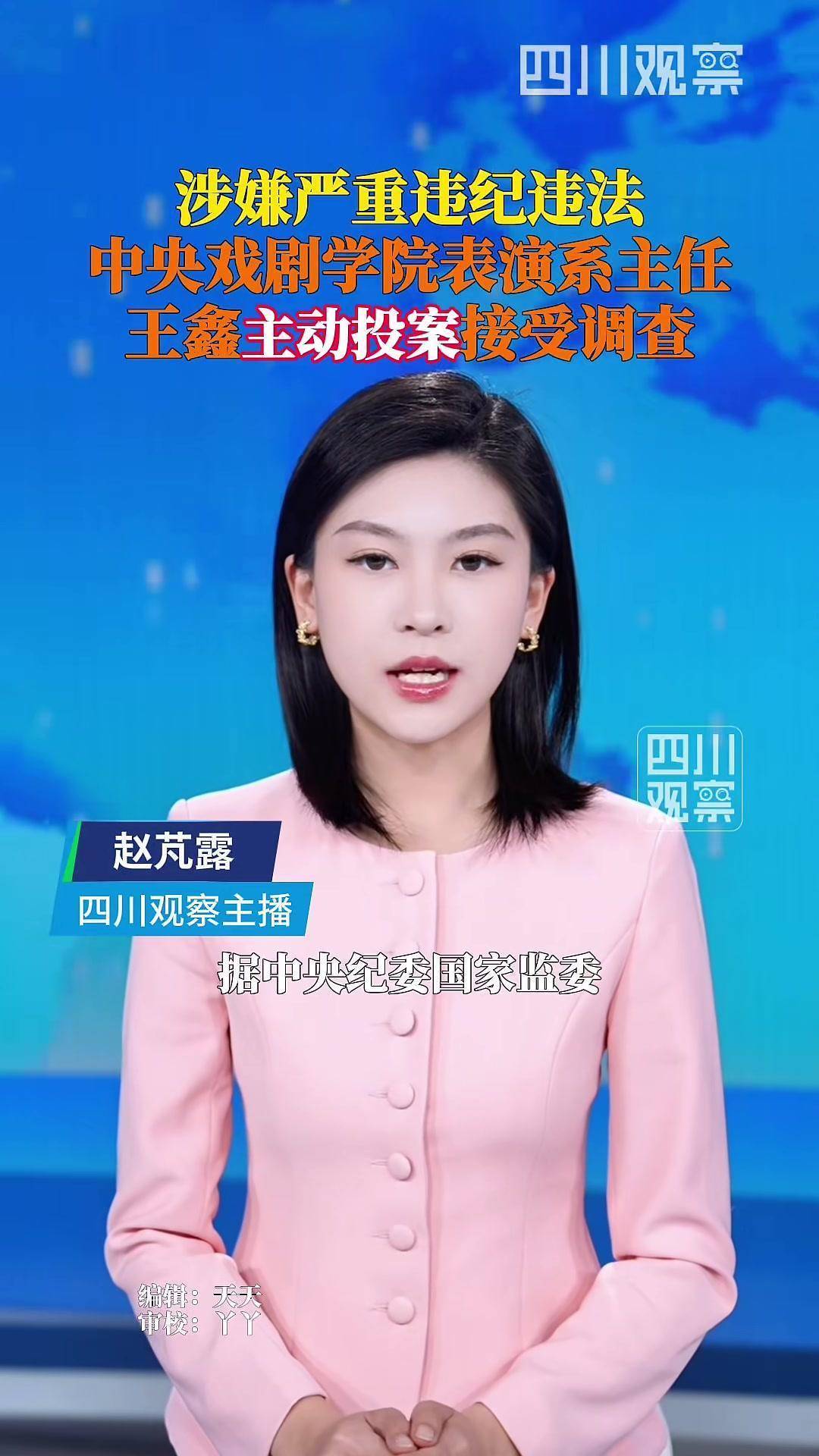 中戏表演系主任王鑫主动投案