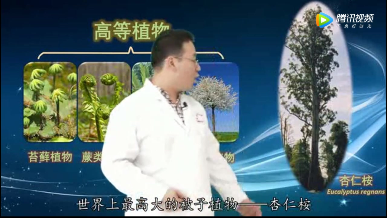 初中生物 七上 水分在茎内的运输结构—导管