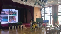 中班《小标志,大作用》2
