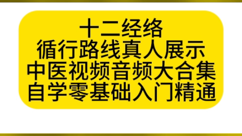 十二经络循行路线真人展示中医视频音频大合集自学零基础入门精通