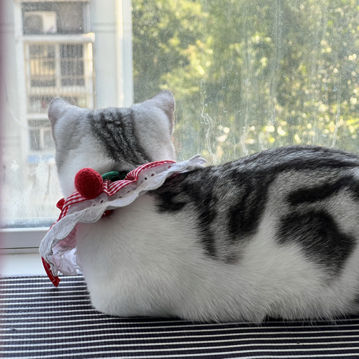 香蕉你個芭樂鴨 