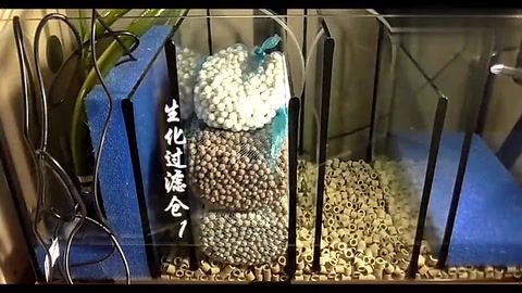 鱼缸过滤DIY:教你如何布置底滤缸滤材,太美观了